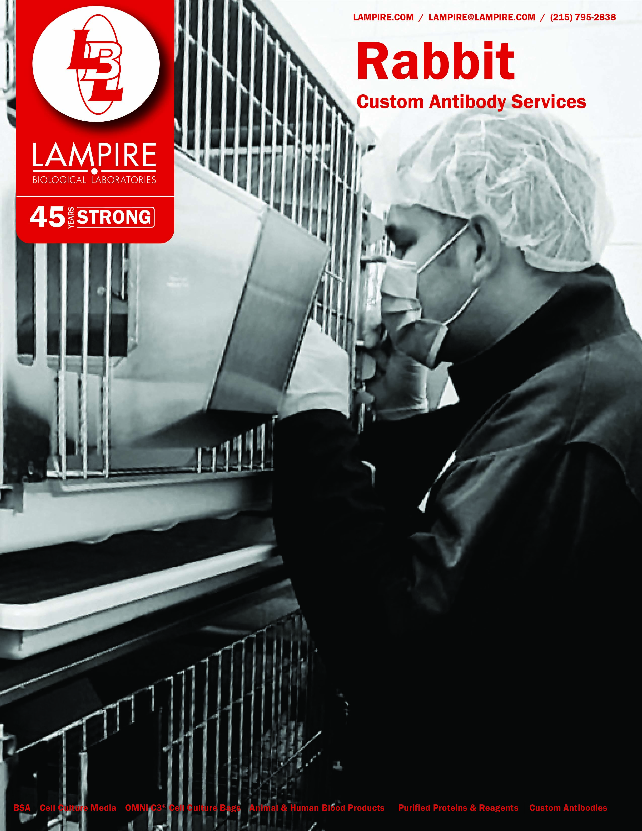 Rabbit Lampire Biological Laboratories Inc